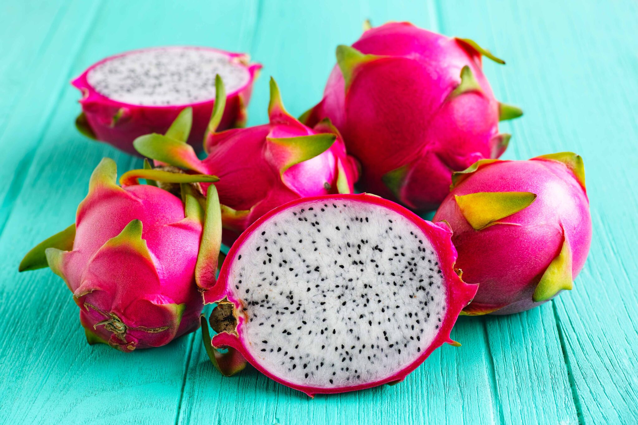 Pitaya: Como Plantar, Cultivar e Produzir Esse Magnífico Cacto - Prof ...